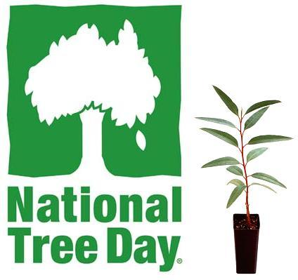 Cairns School of Distance Education